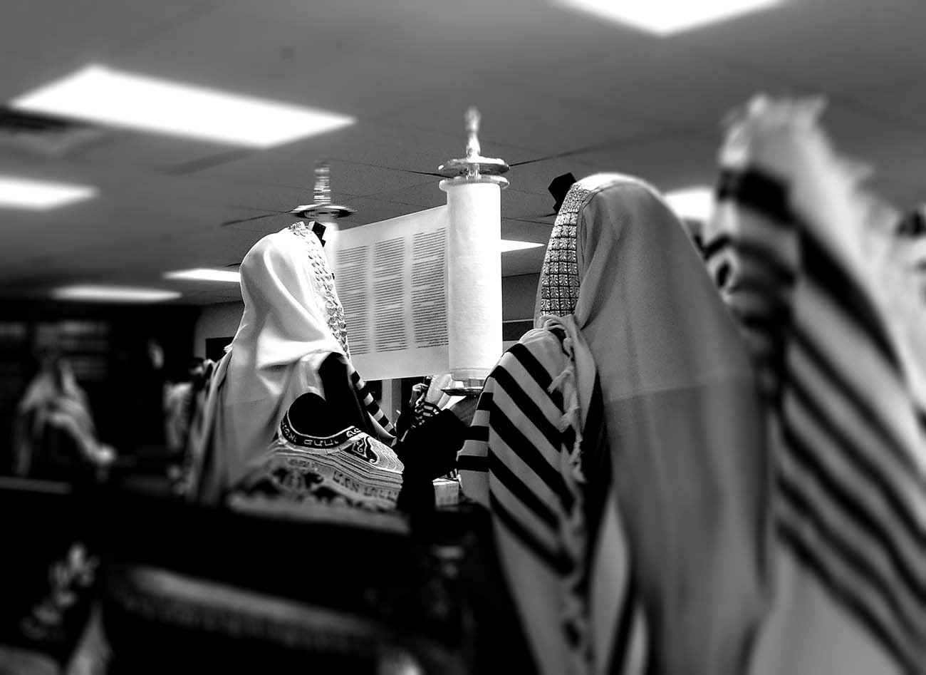 Raising the Torah – AmericanSiddartha